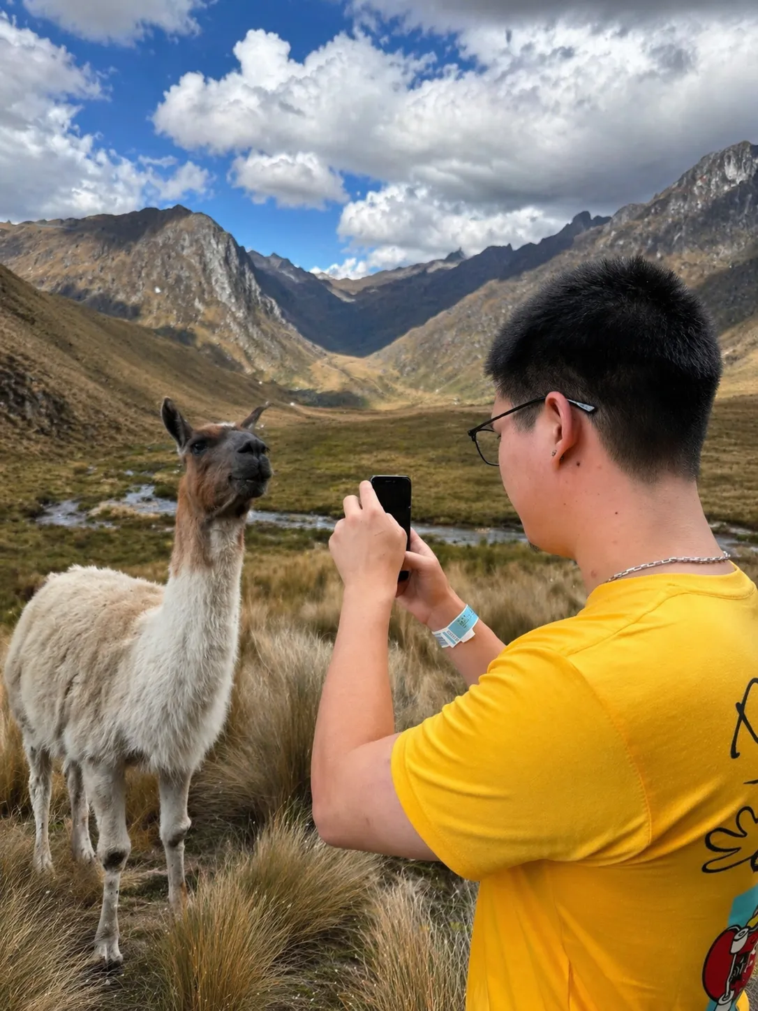 How to identify animals in the wild (2026 guide) | AnimalDex